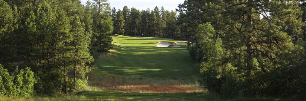 Home - The Golf Club at Bear Dance