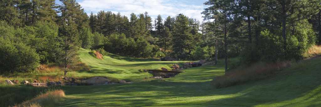 Home - The Golf Club at Bear Dance