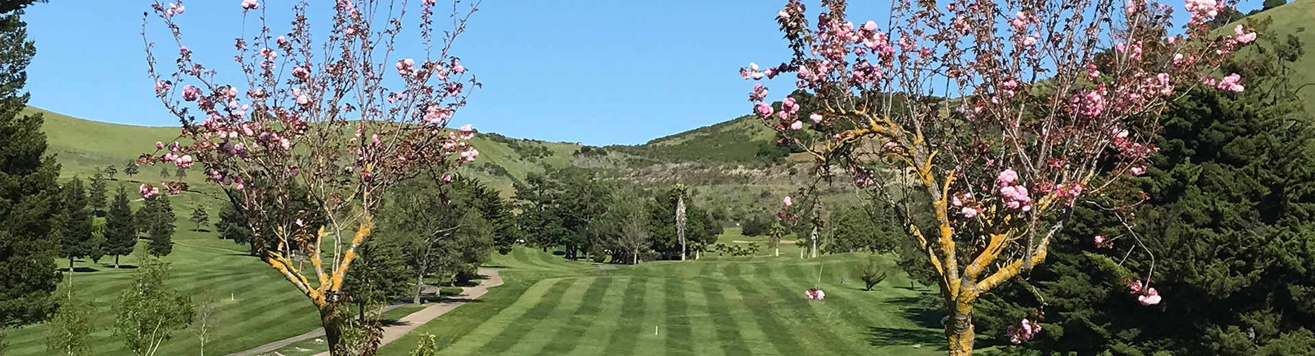 HOME - Blue Rock Springs Golf Club - West Course