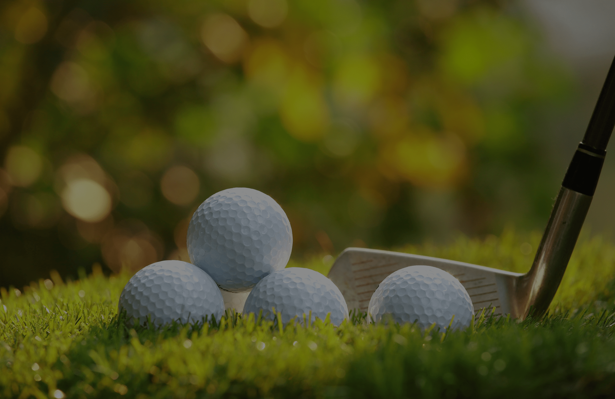 Homepage - Bent Tree Golf Club