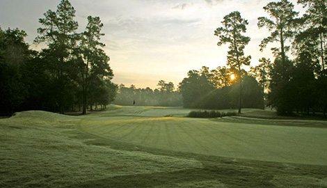 Course Details - Longwood Golf Club