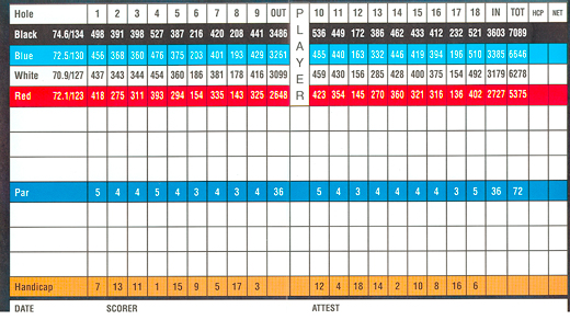 Scorecard - Plus Template 1