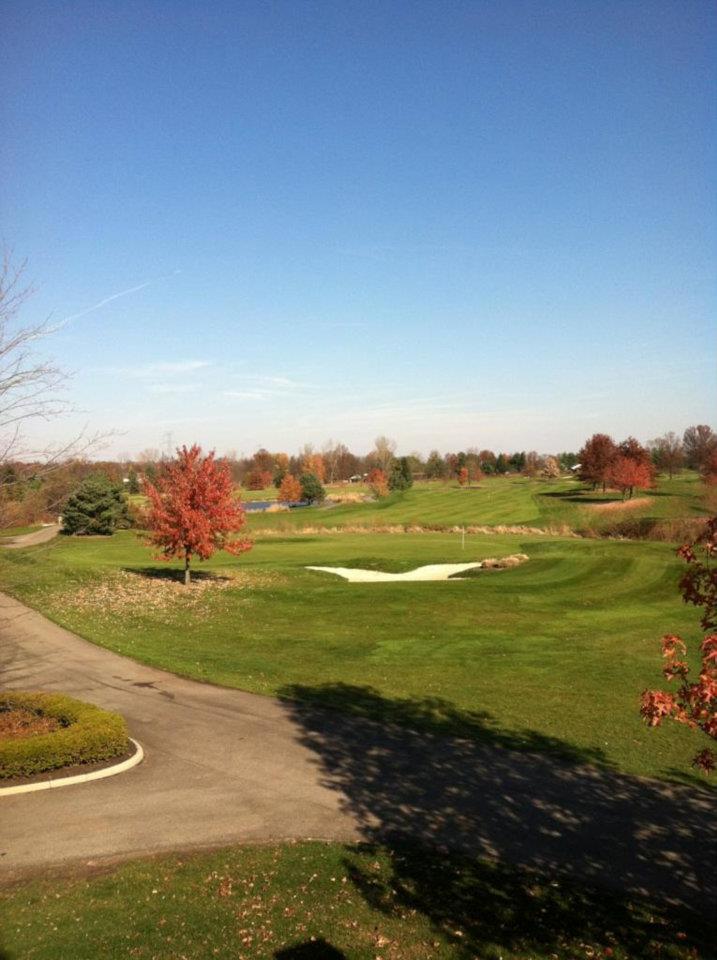 Homepage - Royal American Links