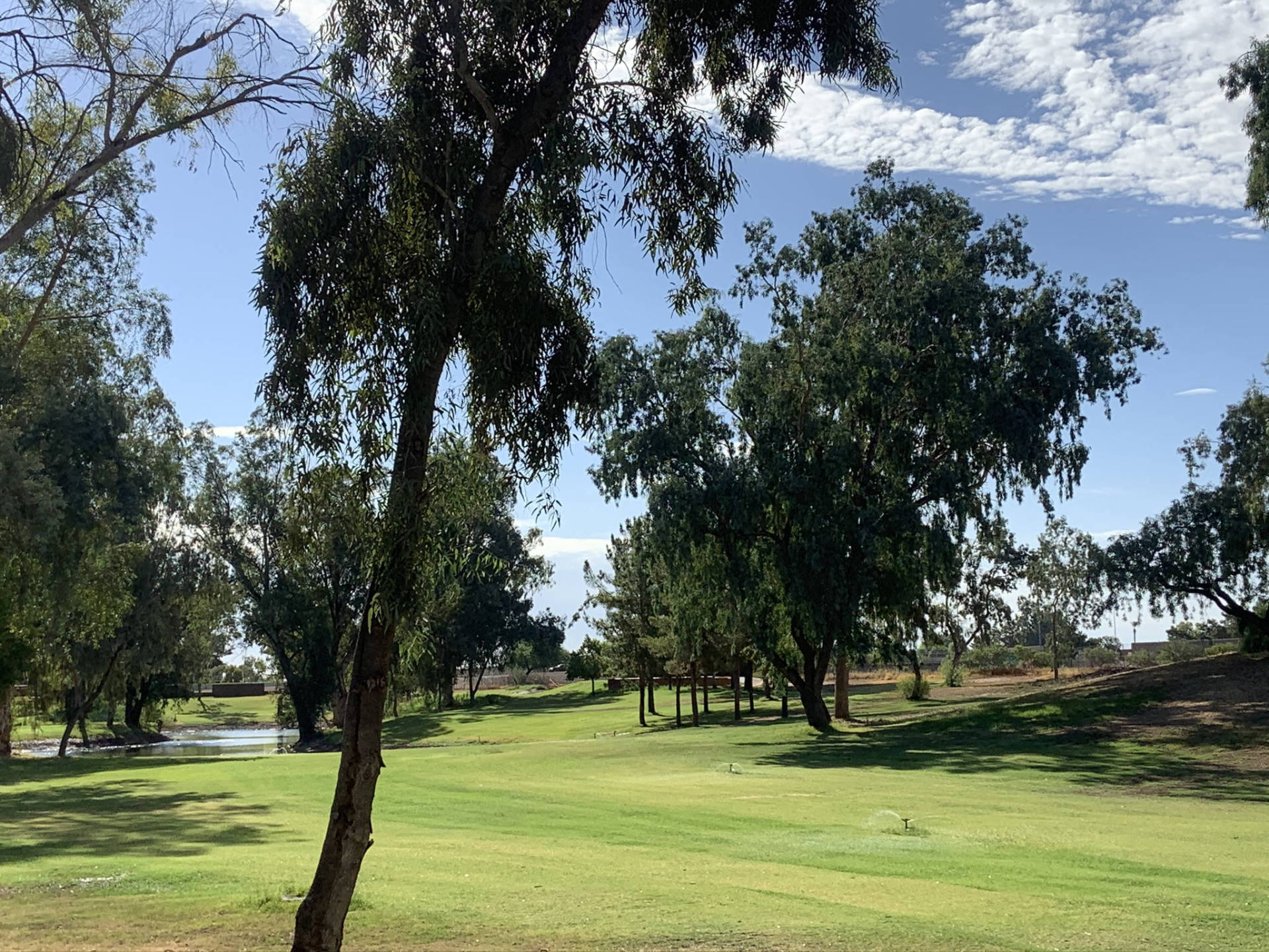 Home - Stripe Show Golf Club